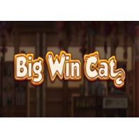 Big Win Cat Slot Review | Demo & Free Play | RTP Check