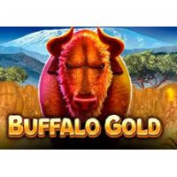 Buffalo Gold Slot Canada | Demo & Free Play | RTP Check