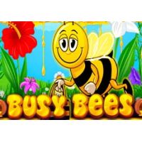 Busy Bees Slot Canada Review | Demo & Free Play | RTP Check