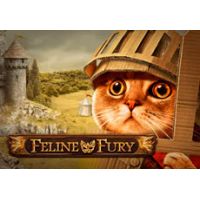 Feline Fury Slot Review | Demo & Free Play | RTP Check