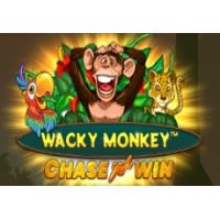 Wacky Monkey Chase 'N' Win (Spinomenal) Slot Review | Demo & FREE Play