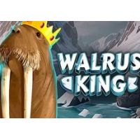 Walrus King (Octoplay) Slot Canada | Demo & FREE Play